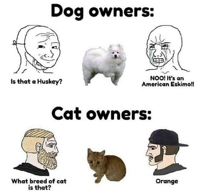 Simple as that - 9GAG
