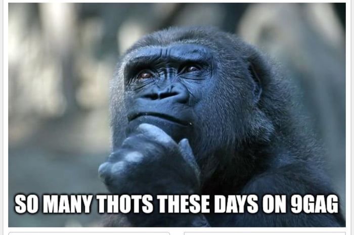 Why though? - 9GAG