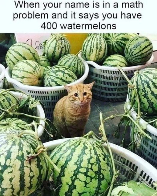 That's a lot of watermelons... - 9GAG