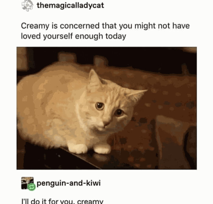 Self knowledge is self love - 9GAG