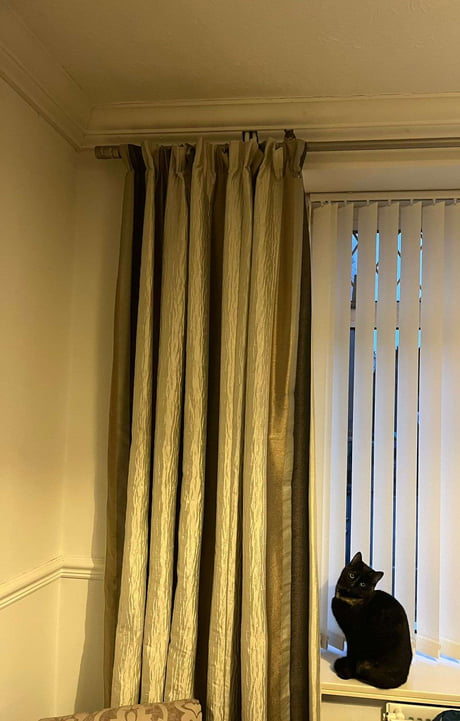 Best Funny cat and mouse Memes - 9GAG