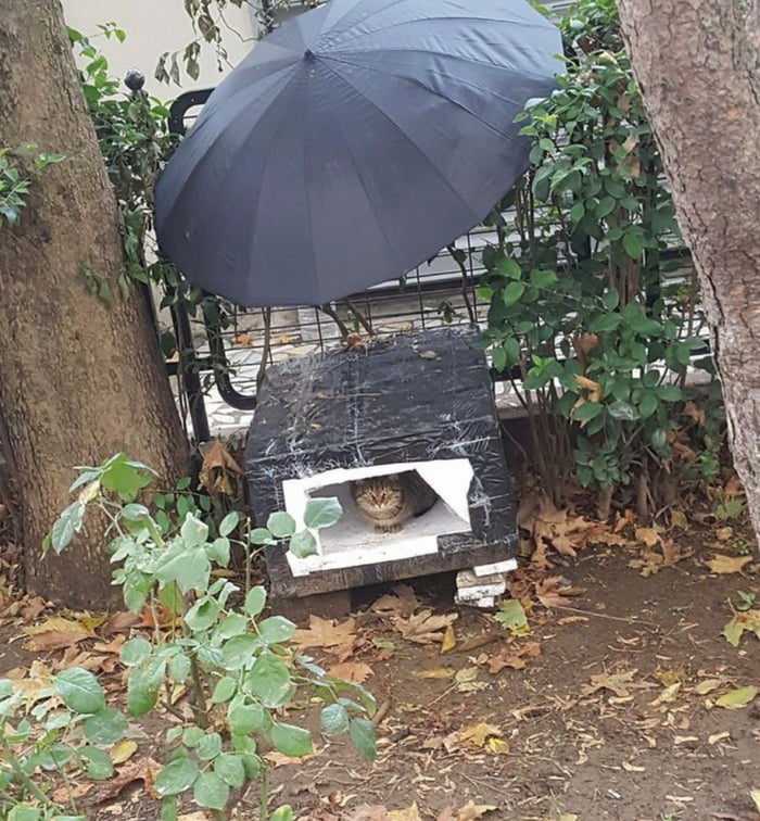 Random cat house in Turkiye... - 9GAG