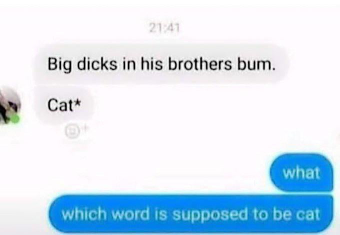 Big “cats” in his brothers bum!?!? - 9GAG