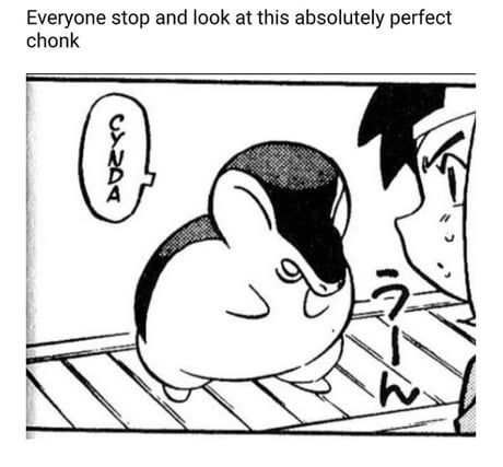 Best Funny chonk Memes - 9GAG