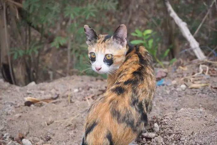 Hey man do you work nightshift? Me: - 9GAG