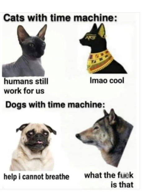 Best Funny time machine Memes - 9GAG