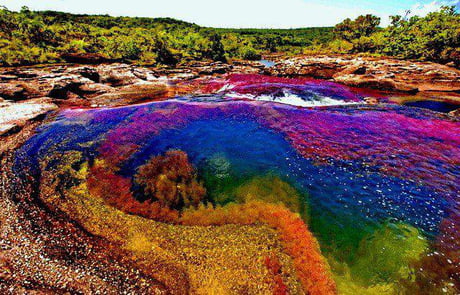 The River Of Five Colors