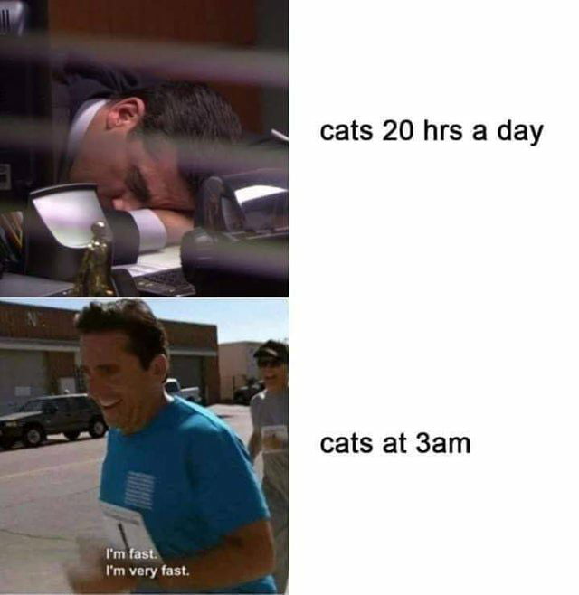 Im fast as frick boi - 9GAG