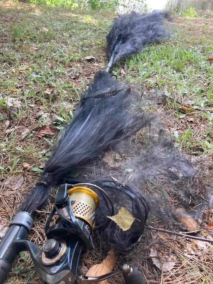 This is when lightning hit a carbon fiber spinning rod... - 9GAG