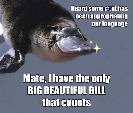Best Funny platypus Memes - 9GAG