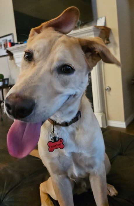 Best Funny goober Memes - 9GAG