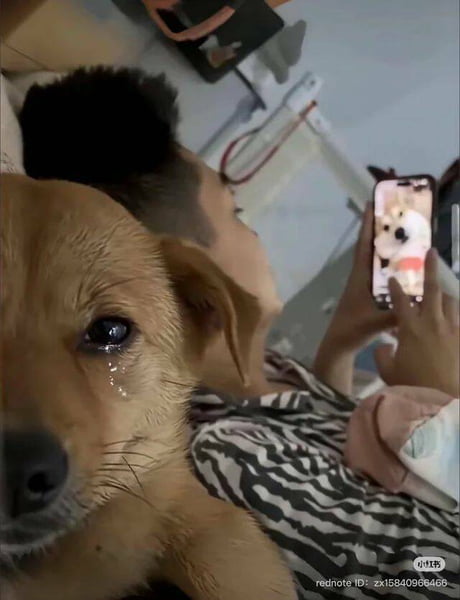 Best Funny cuckold Memes - 9GAG