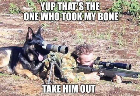 Best Funny sniper Memes - 9GAG