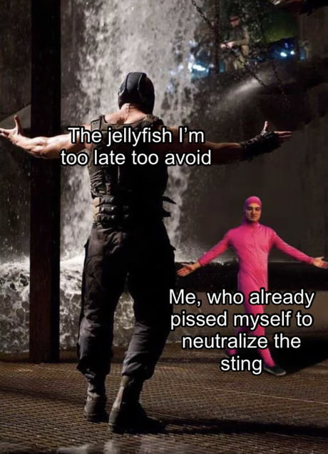 Best Funny jellyfish Memes - 9GAG