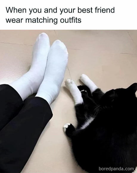 Best Funny matching Memes - 9GAG