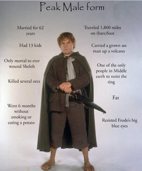 Best Funny samwise gamgee Memes - 9GAG