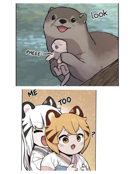 Best Funny tiger Memes - 9GAG