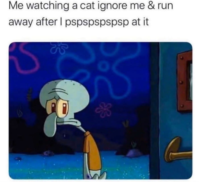 When my cat ignore me - 9GAG