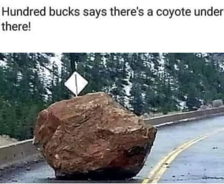 Roadrunner Memes