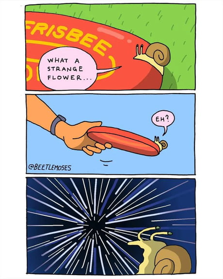 Best Funny frisbee Memes - 9GAG