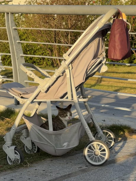 Best Funny stroller Memes - 9GAG