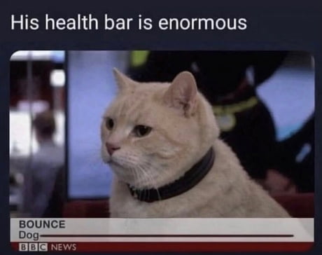 Best Funny bounce Memes - 9GAG
