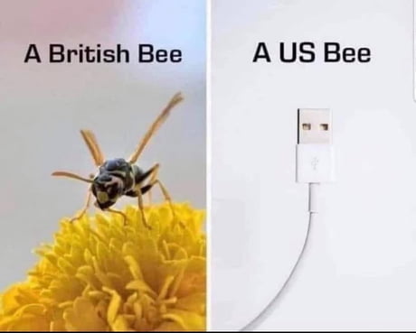 Best Funny wasp Memes - 9GAG