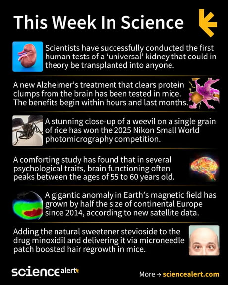 Best Funny brain Memes - 9GAG