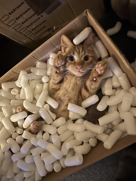 Best Funny packing Memes - 9GAG