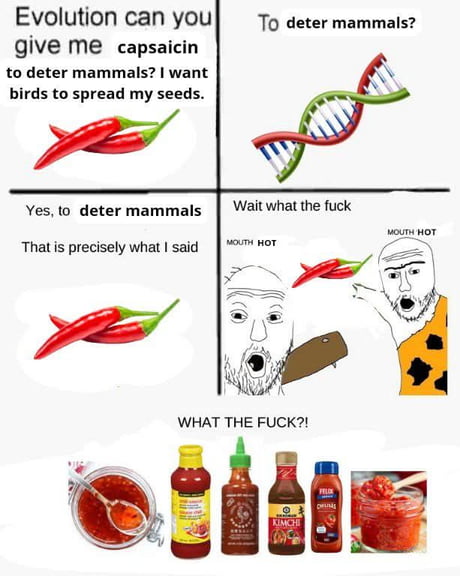Best Funny chili Memes - 9GAG