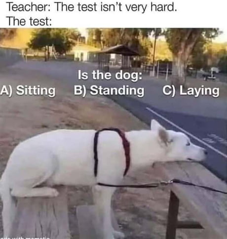 Best Funny multiple choice Memes - 9GAG