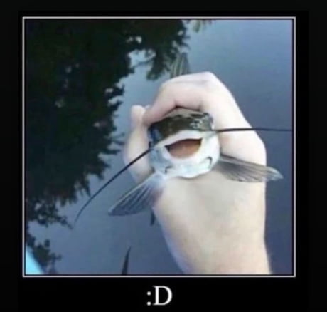 Best Funny fish Memes - 9GAG