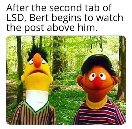Best Funny bert and ernie Memes - 9GAG