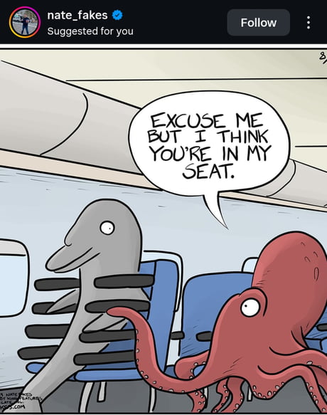 Memes Octopus