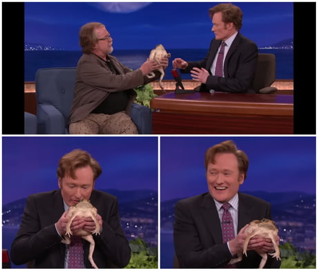 Best Funny conan obrien Memes - 9GAG