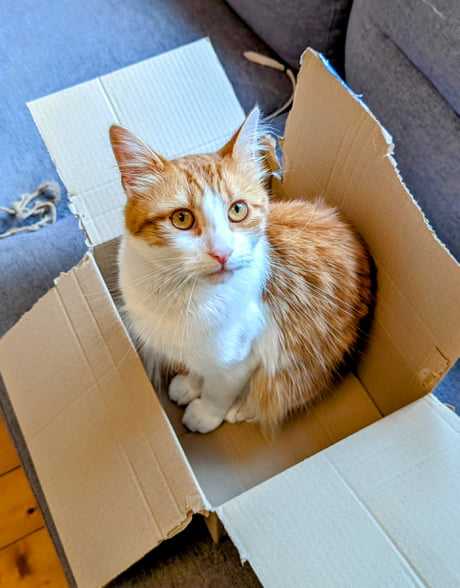 Best Funny container Memes - 9GAG