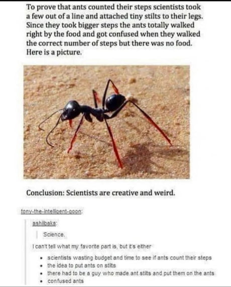 Best Funny ants Memes - 9GAG