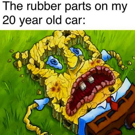 Rubber Memes The Best Rubber Ducky Memes :) Memedroid