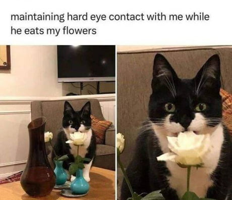 Funny Psychopath Memes