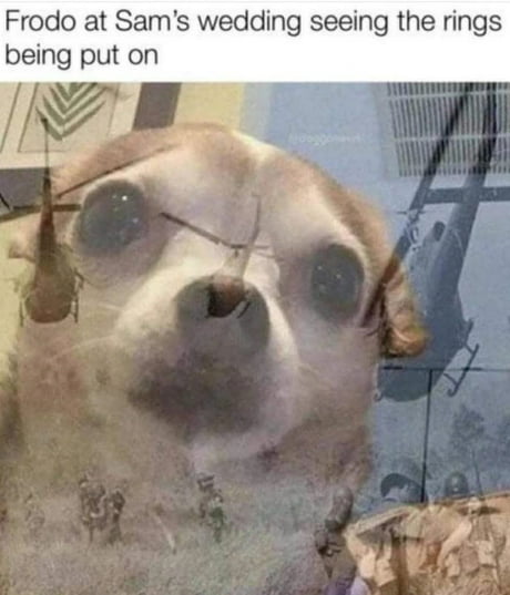 Tiny Ring Memes 50 Random Funny Memes That You Might Want To Treat