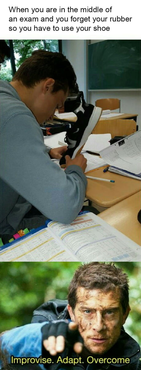 Adapt to survive | Worth to watch