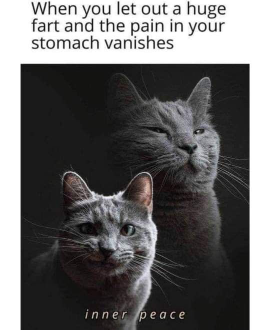 And smells like death - 9GAG