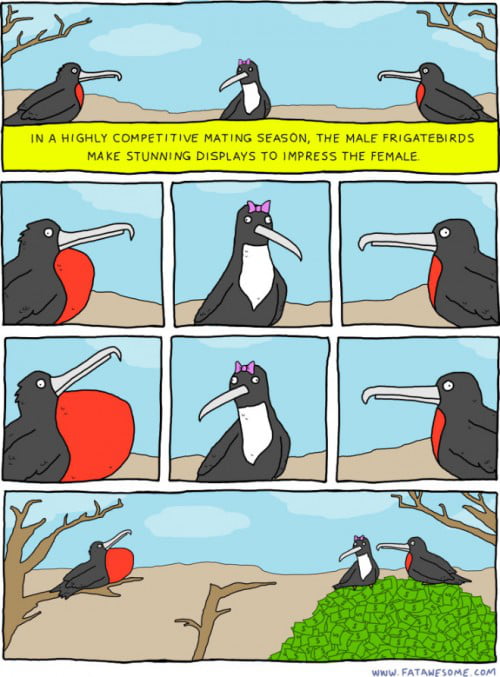Mating Season - 9GAG