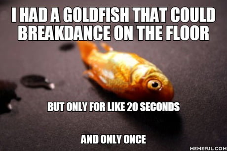 Dead Goldfish Meme