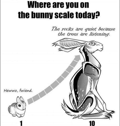 Best Funny paranoid Memes - 9GAG