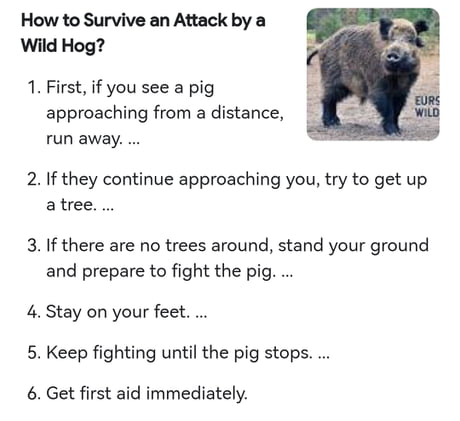 Best Funny Wild Boar Memes - 9GAG