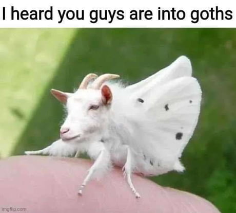 Best Funny goth Memes - 9GAG