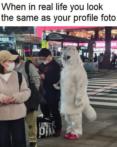 Catman in real life - 9GAG