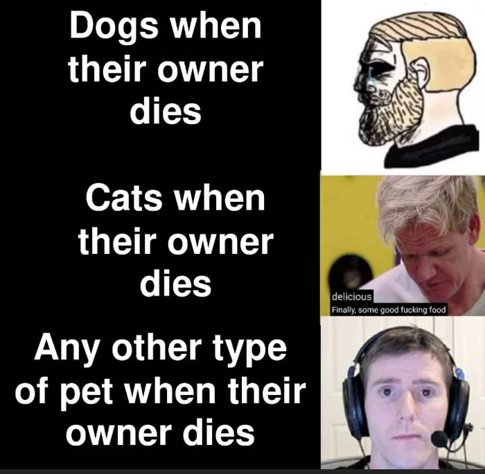 Don't make your good boi sad - 9GAG