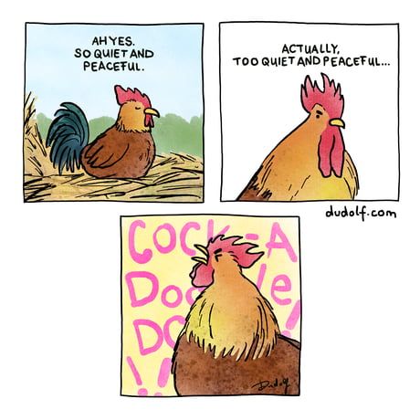 Best Funny rooster Memes - 9GAG